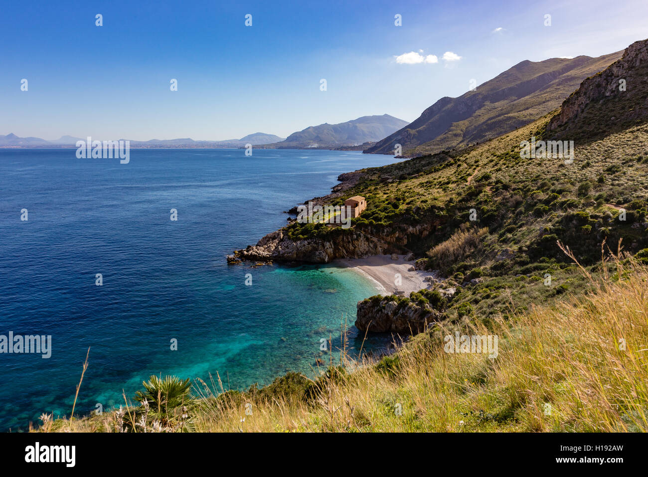 Zingaro hi-res stock photography and images - Alamy