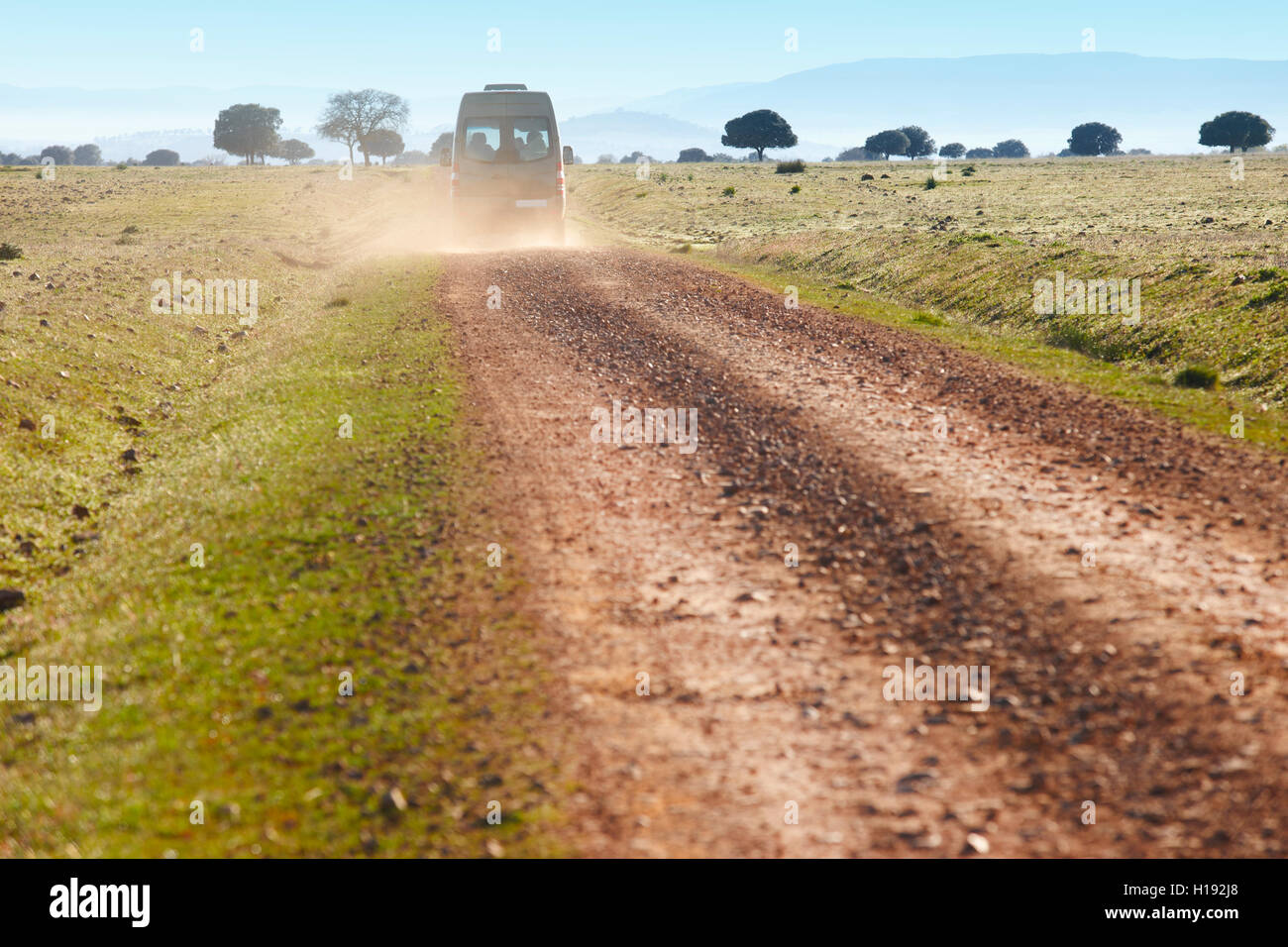 Horizontal Dirt Road
