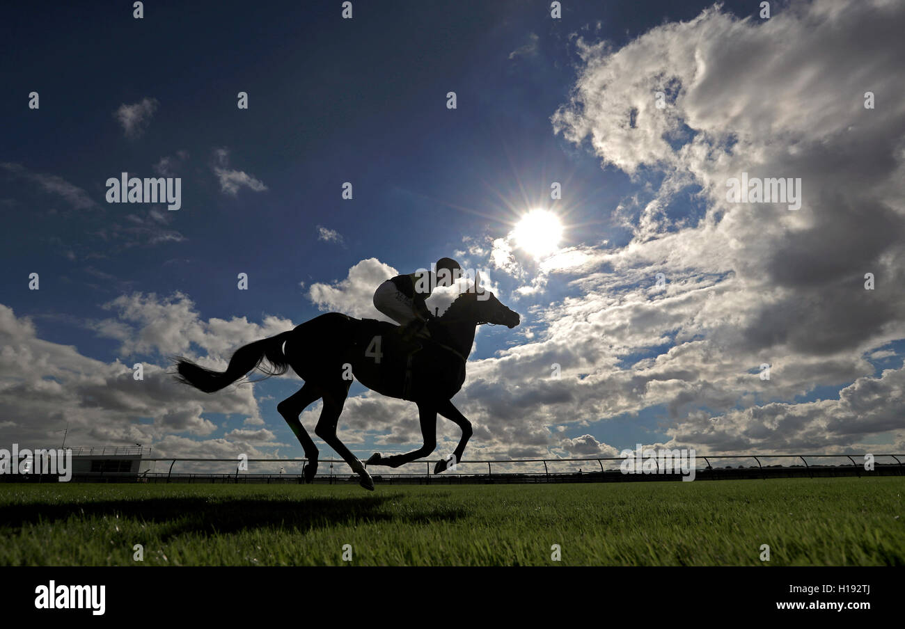 Storm Cry ridden by jockey Joe Fanning goes to post for the ...