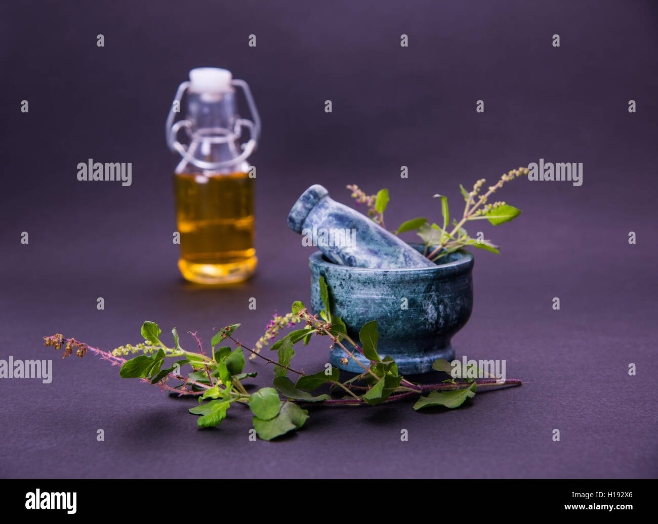 Tulsi oil or holy basil oil with Mortar and Pestle, tulsi or holy basil ...