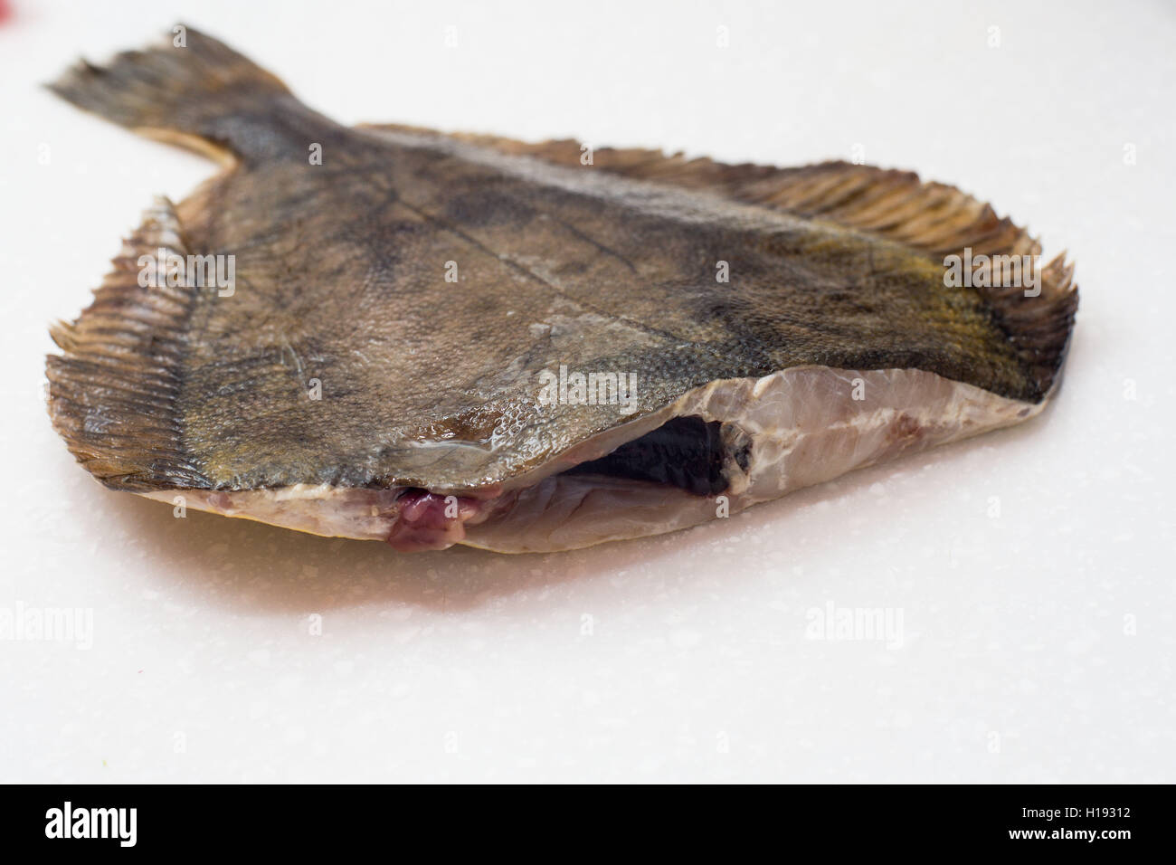 Dark spotted sole hi-res stock photography and images - Alamy