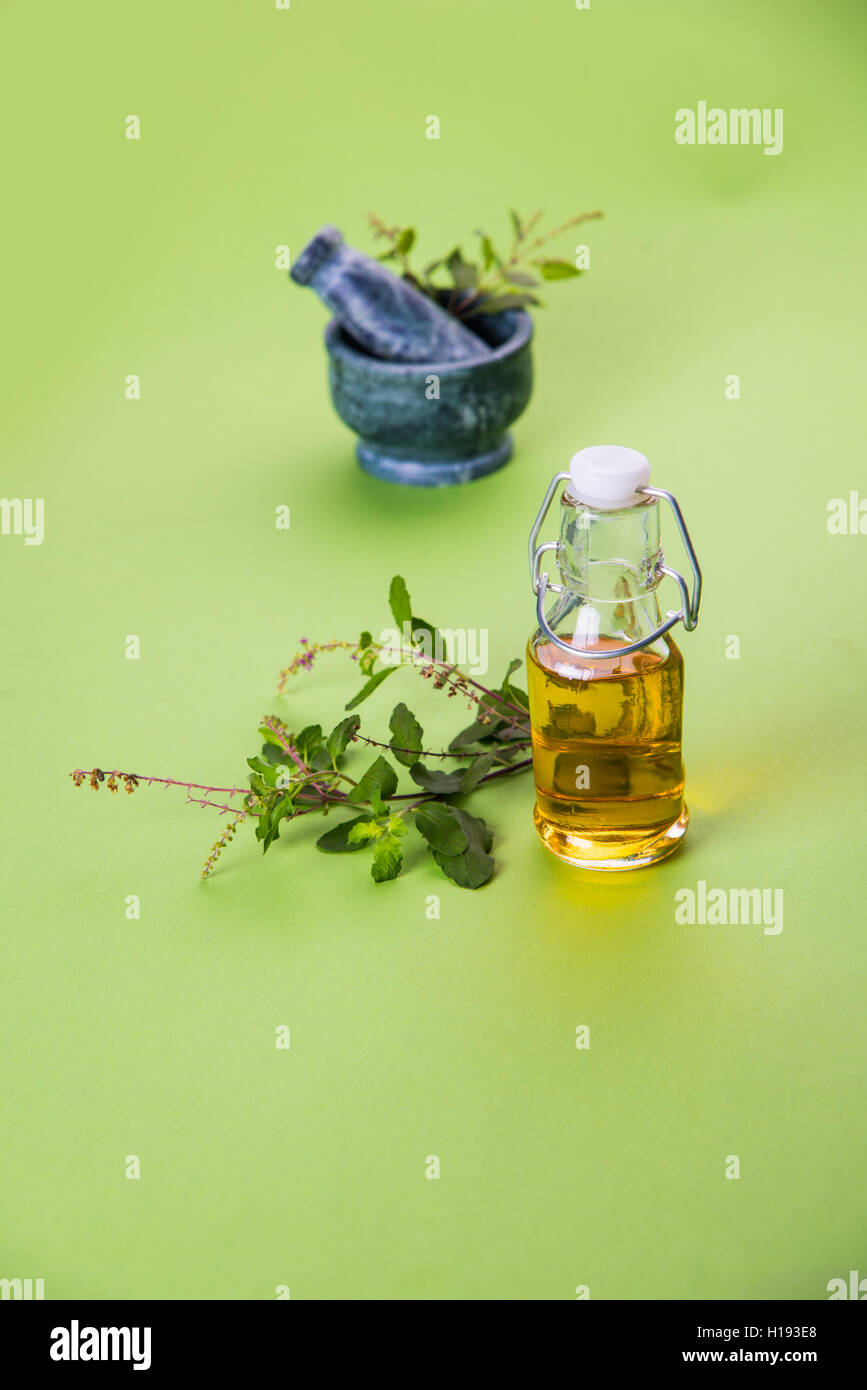 Tulsi oil or holy basil oil with Mortar and Pestle, tulsi or holy basil ...