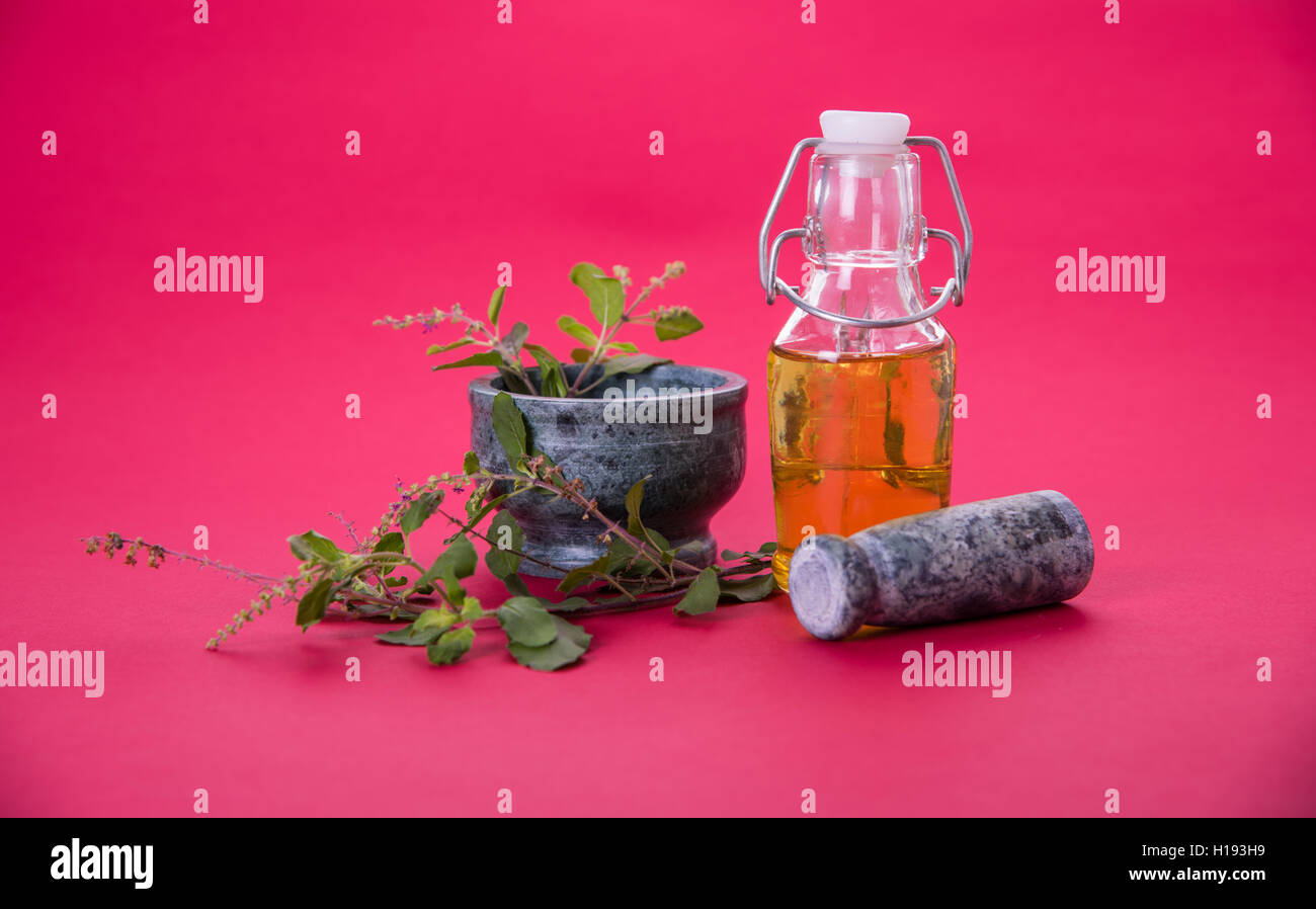 Tulsi oil or holy basil oil with Mortar and Pestle, tulsi or holy basil ...