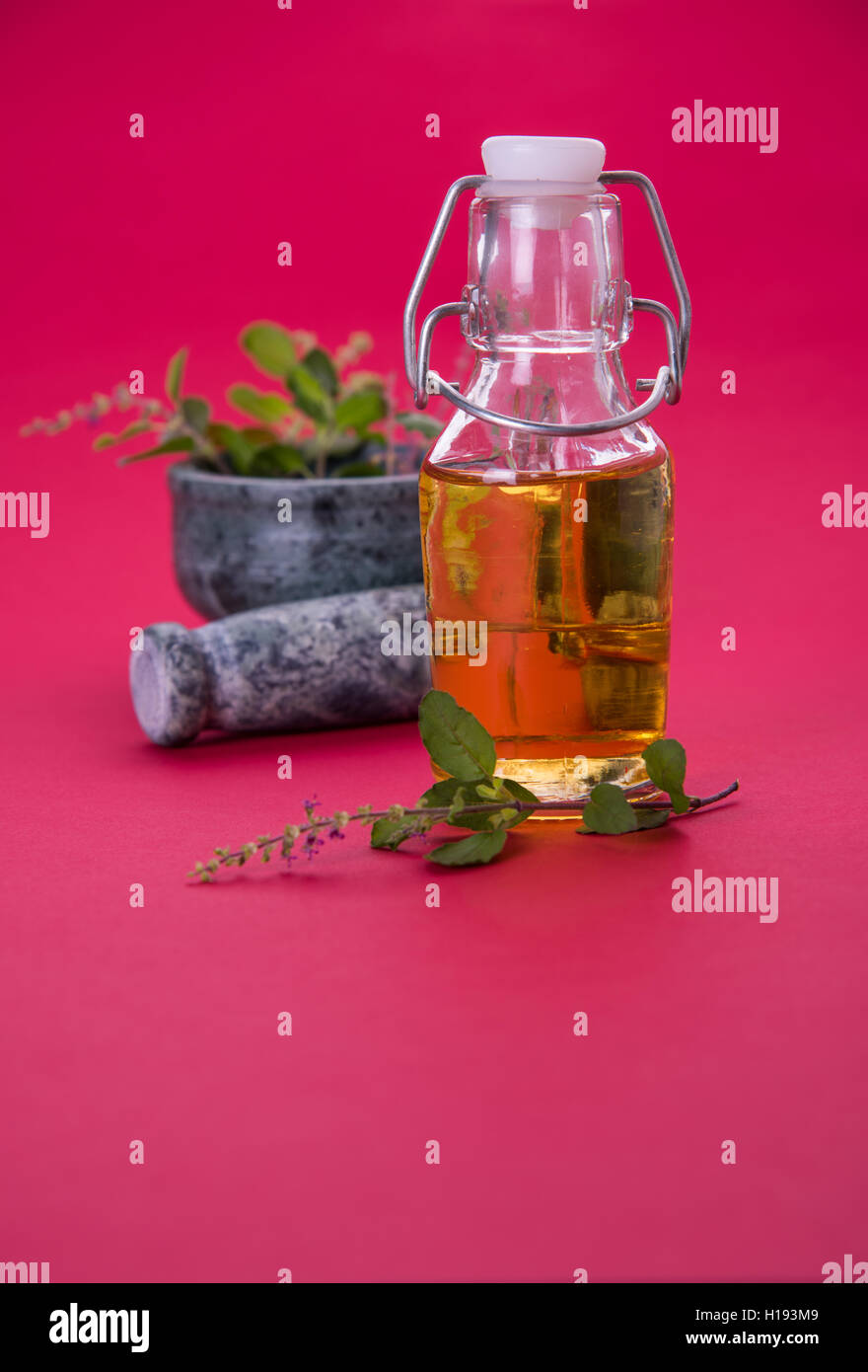 Tulsi oil or holy basil oil with Mortar and Pestle, tulsi or holy basil ...