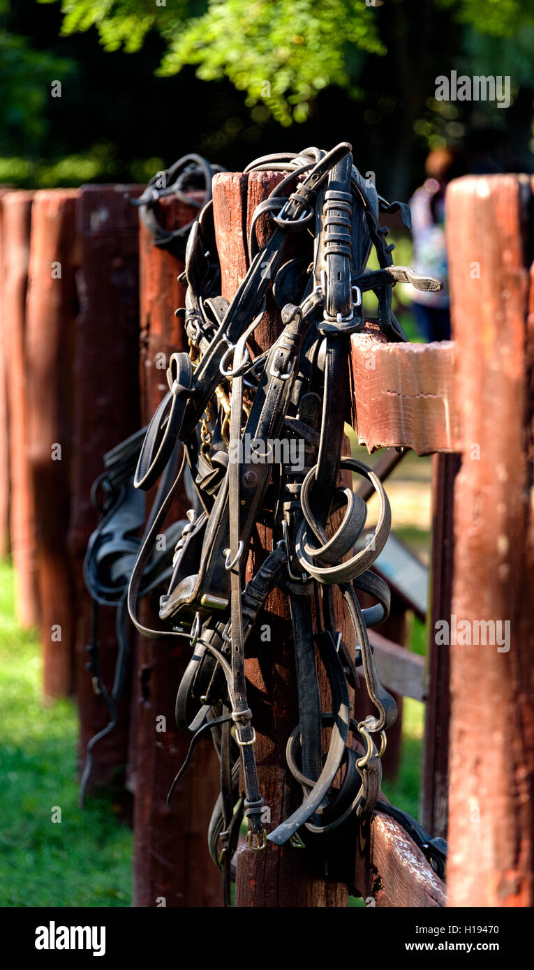 Tack on fence hi-res stock photography and images - Alamy