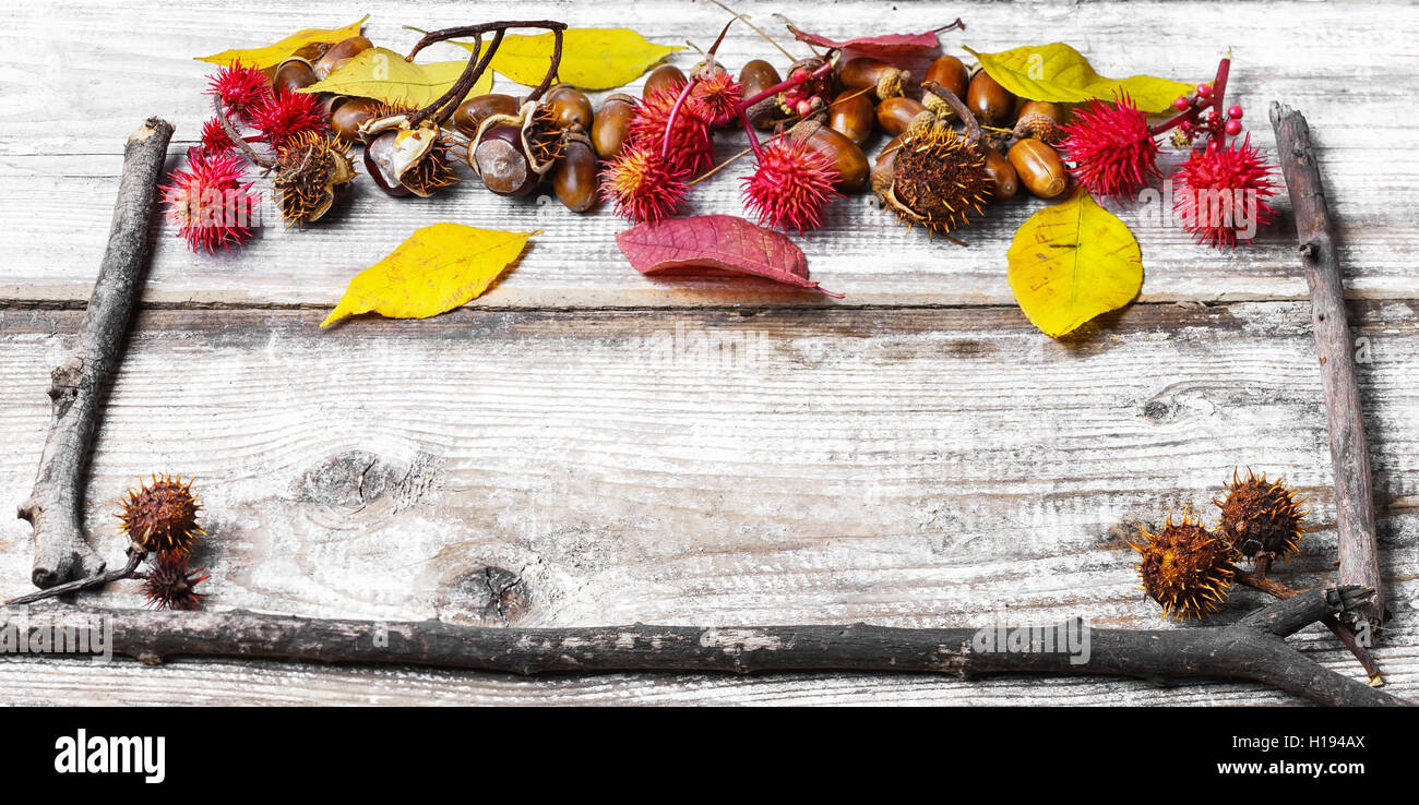 autumn background of leaves and dry branches Stock Photo - Alamy