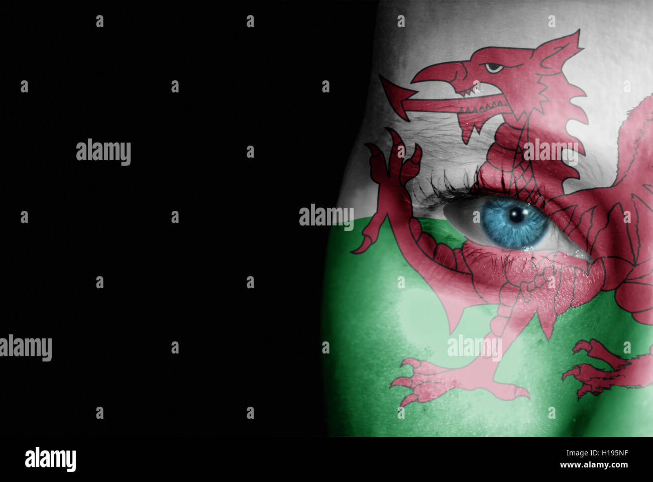 National Symbol Of Wales High Resolution Stock Photography and Images ...