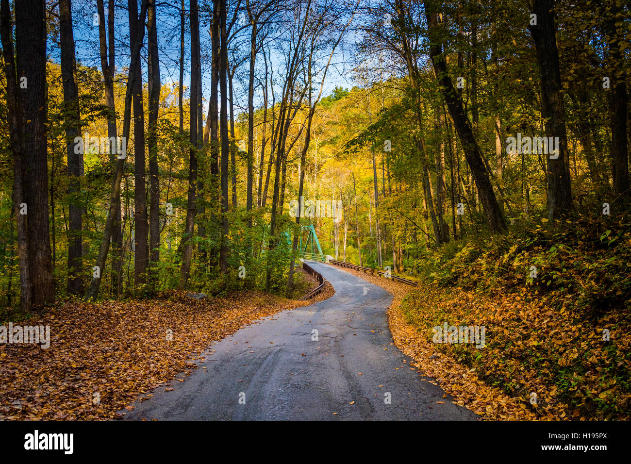 Autumn color and a country road in rural Baltimore County, Maryland ...