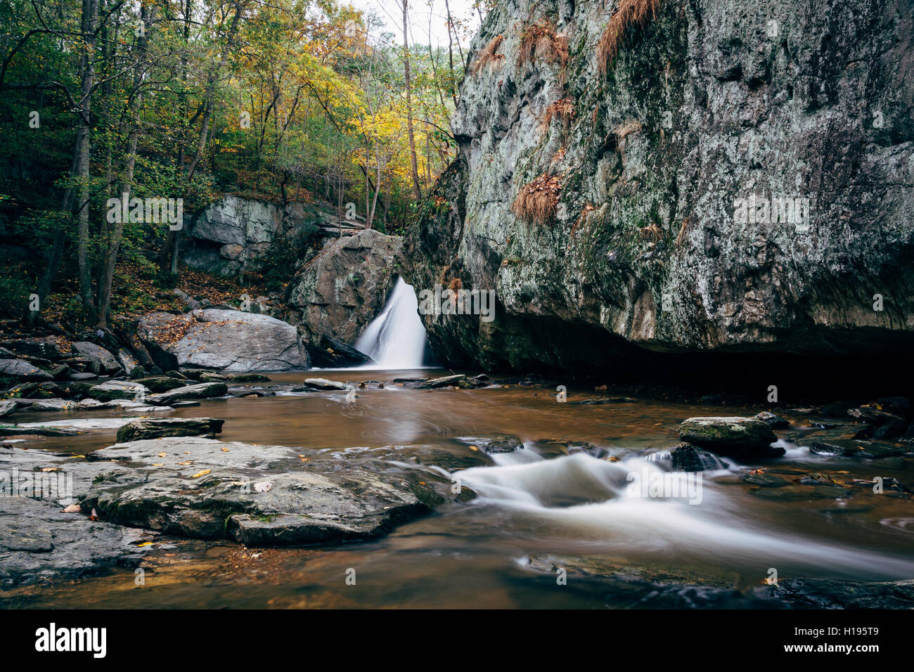 Early autumn color and Kilgore Falls, at Rocks State Park, Maryland ...