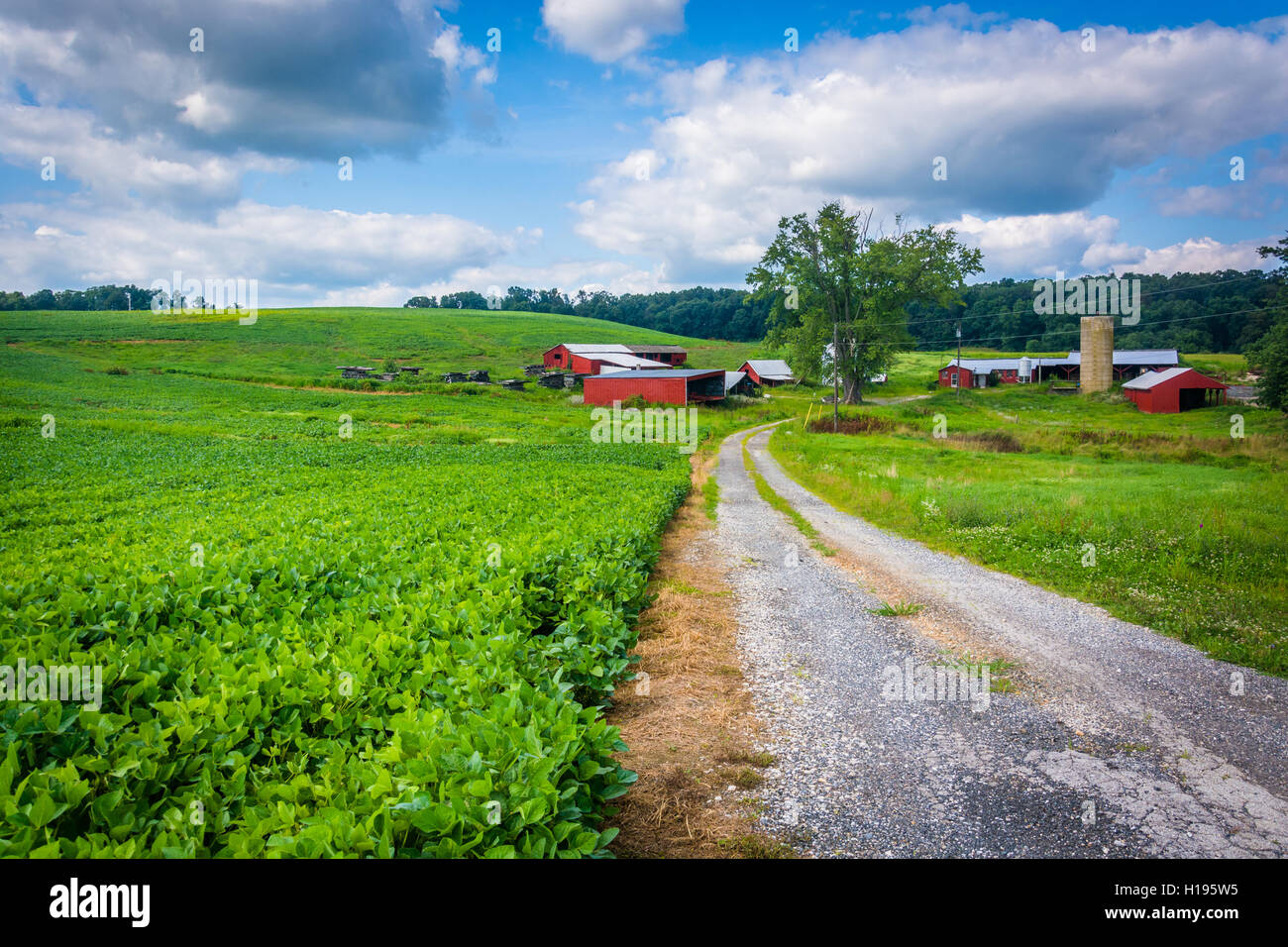 Road and farm in rural Baltimore County, Maryland Stock Photo - Alamy
