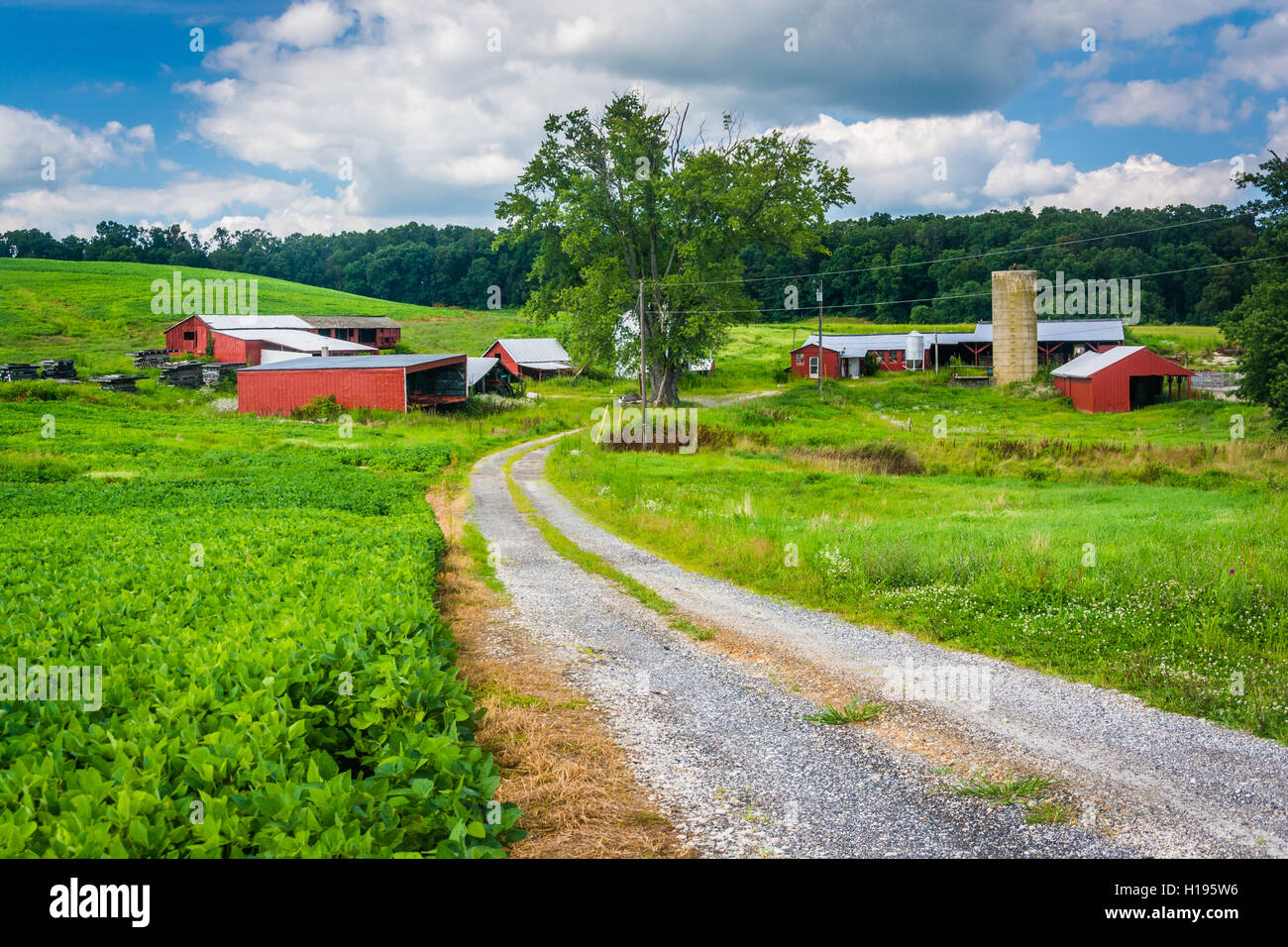 Road and farm in rural Baltimore County, Maryland Stock Photo - Alamy
