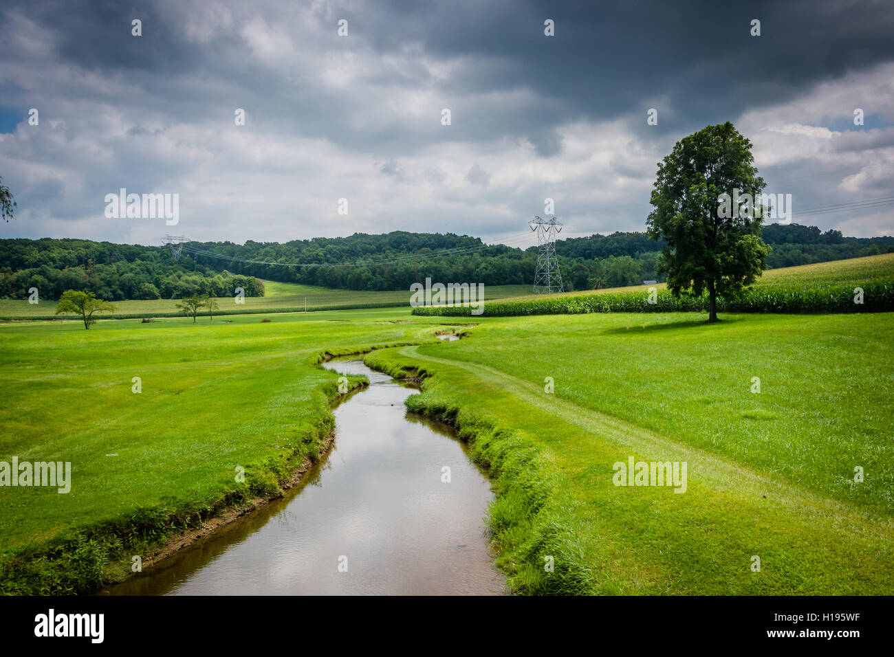 Small stream in a farm field in rural Carroll County, Maryland Stock ...