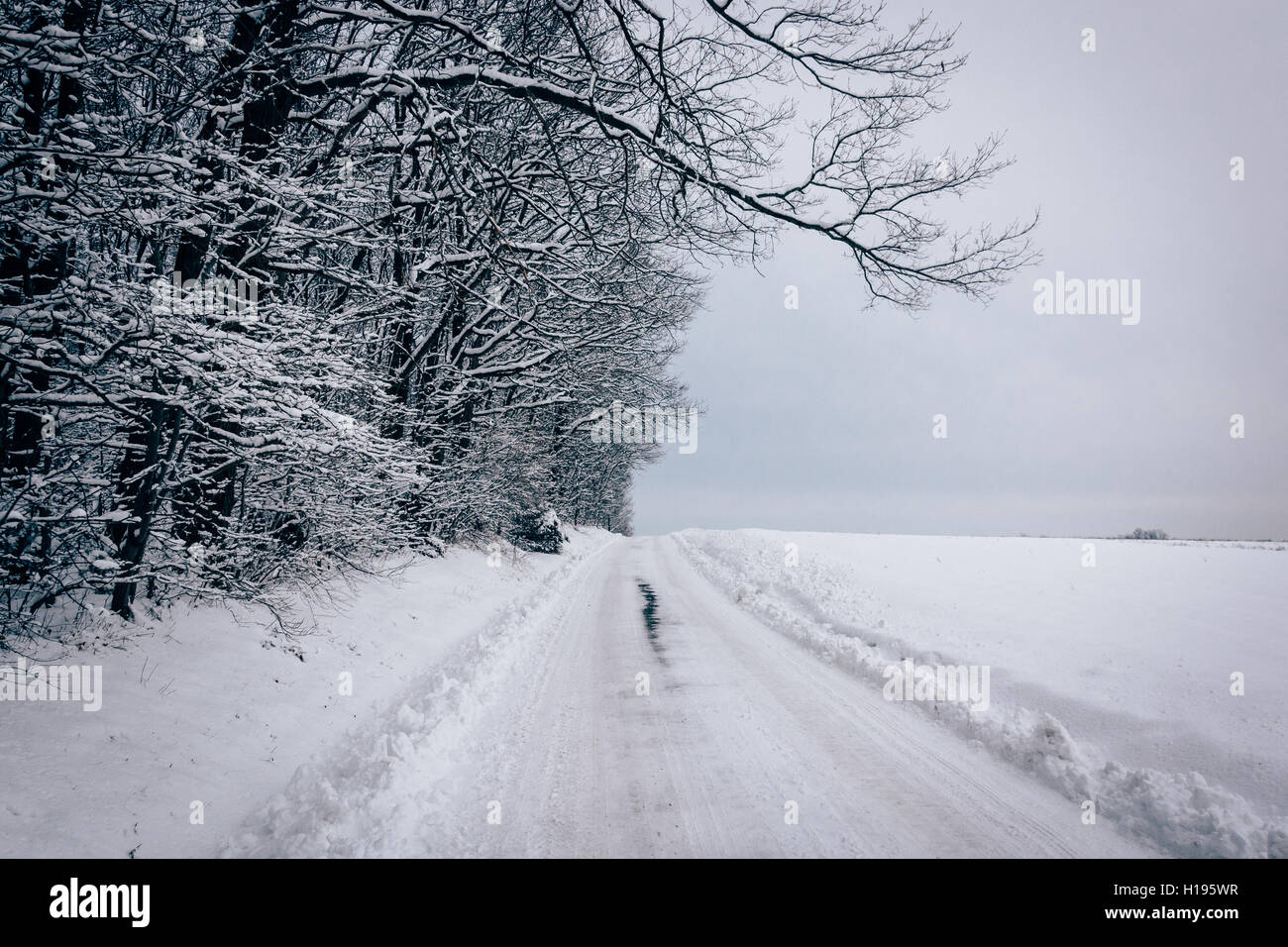 Snow covered road in rural Baltimore County, Maryland Stock Photo - Alamy