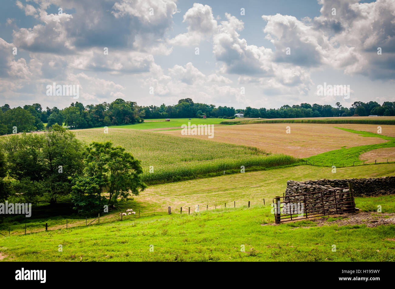 Summer view of farm fields in rural Baltimore County, Maryland Stock ...