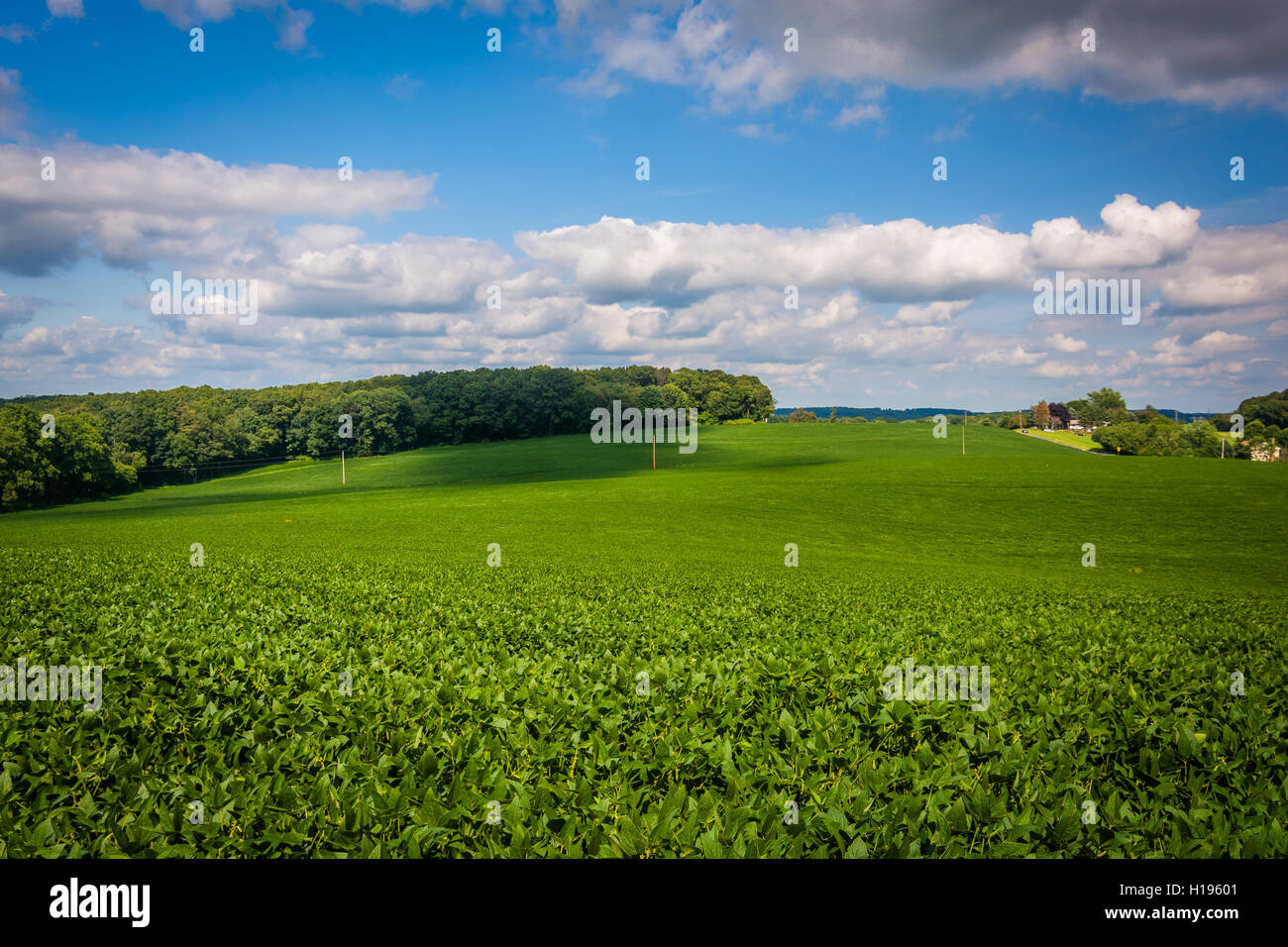 View of farm fields in rural Baltimore County, Maryland Stock Photo - Alamy