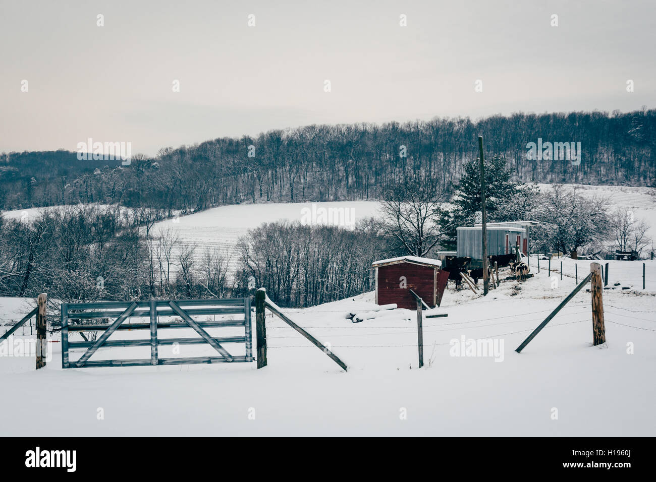 Winter view of snow covered farm fields in rural Carroll County ...