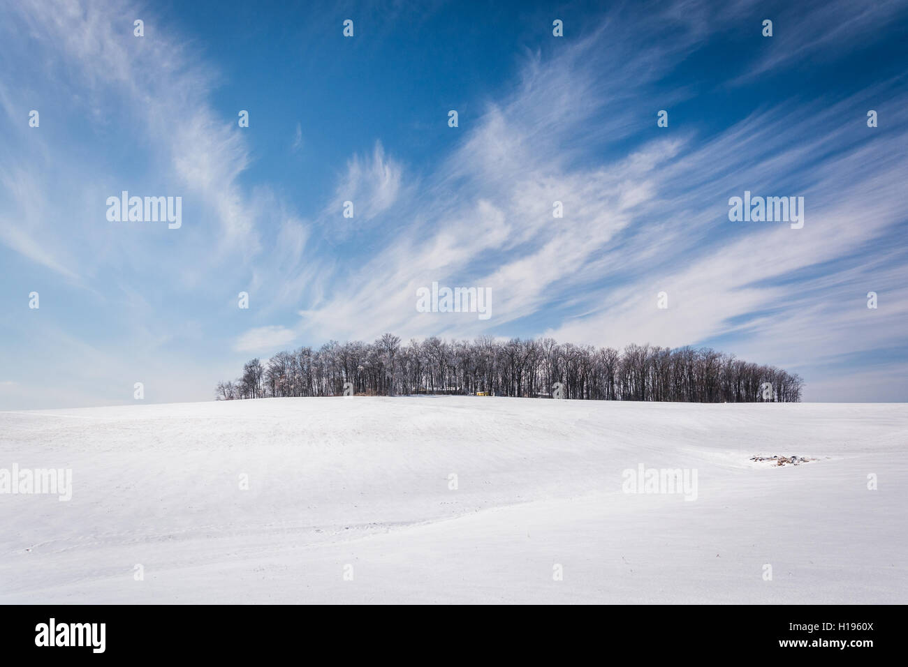Snow fields in winter with trees hi-res stock photography and images ...