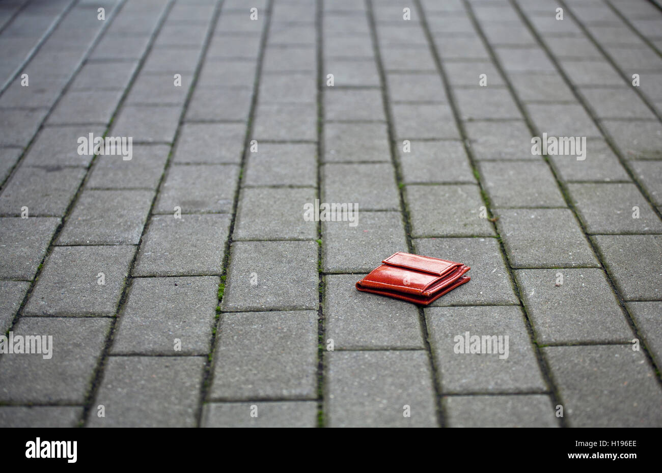 Lost leather wallet with money lost at sidewalk Stock Photo - Alamy