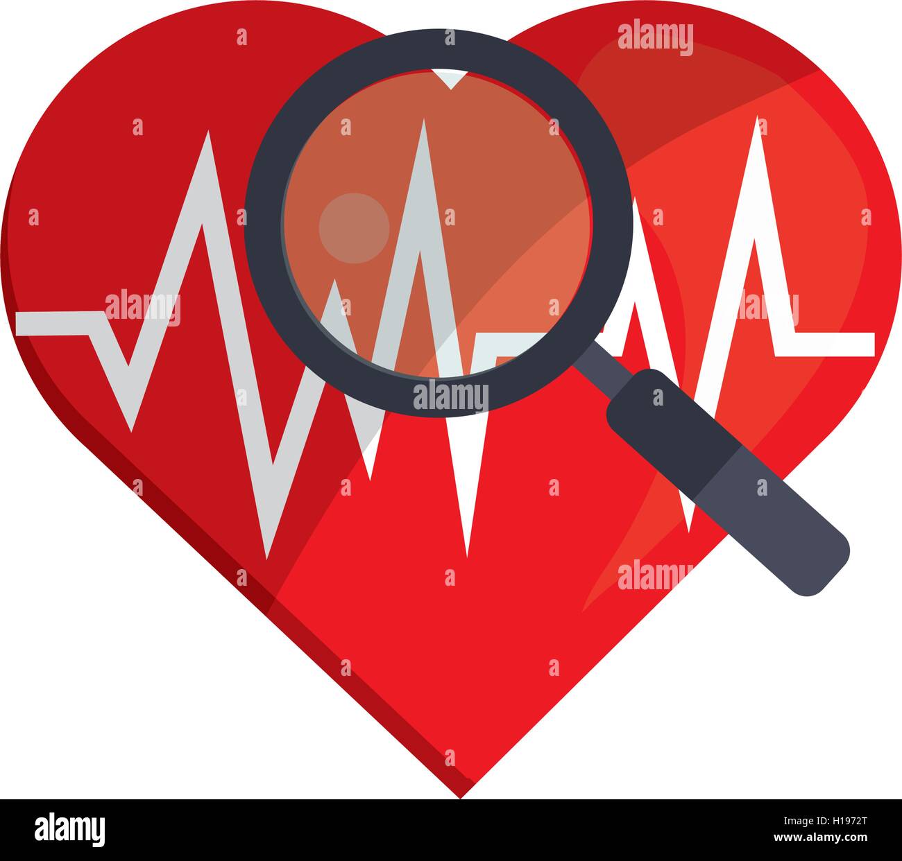 heart cardiogram and magnifying glass icon Stock Vector Image & Art - Alamy