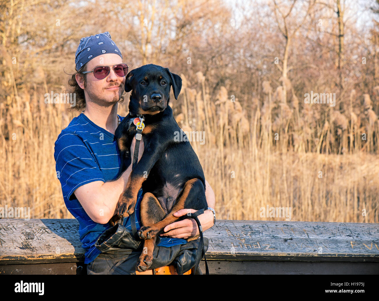Rottweiler man hi-res stock photography and images - Alamy