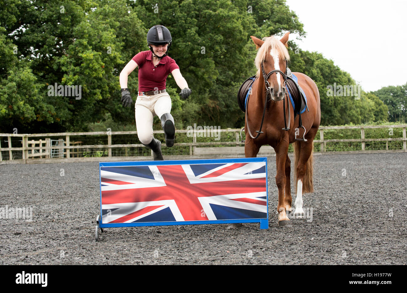 A young pony rider jumping a low fence A Chestnut pony watches as the ...