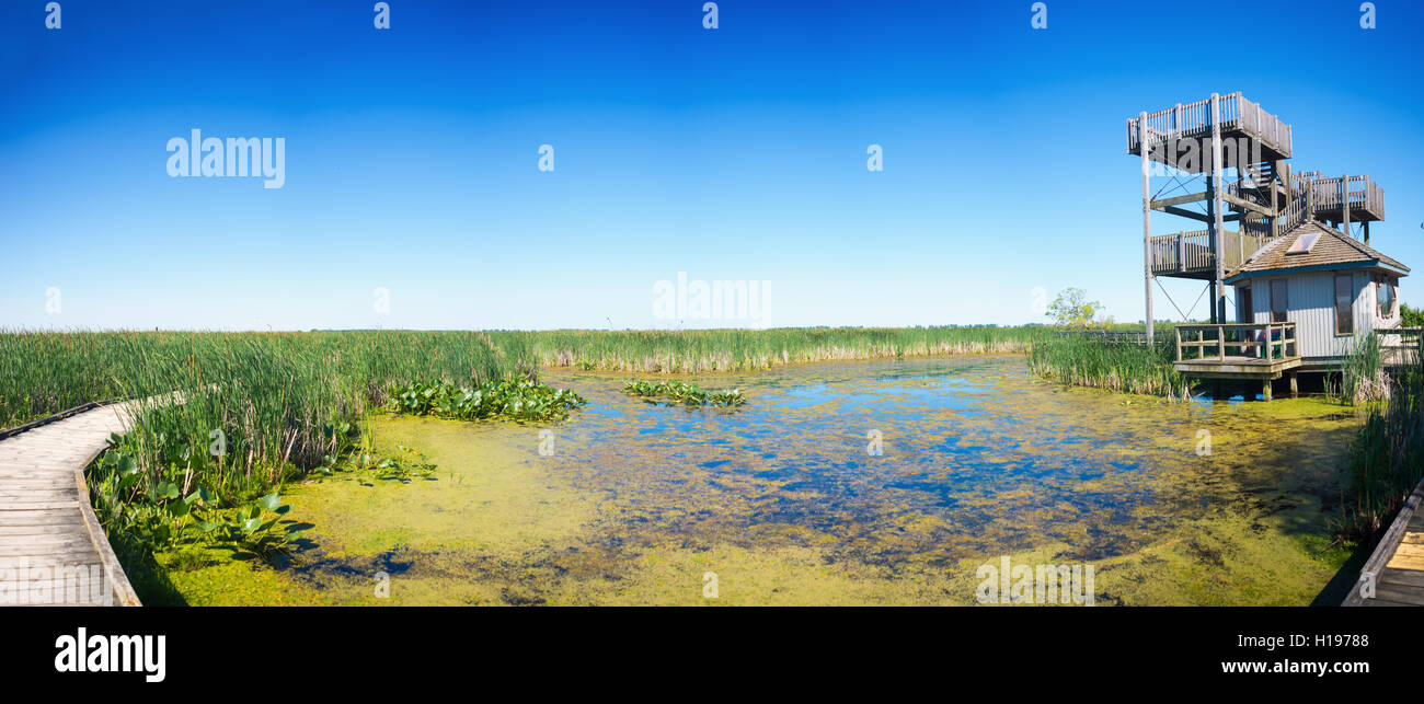 Point pelee national park hi-res stock photography and images - Alamy