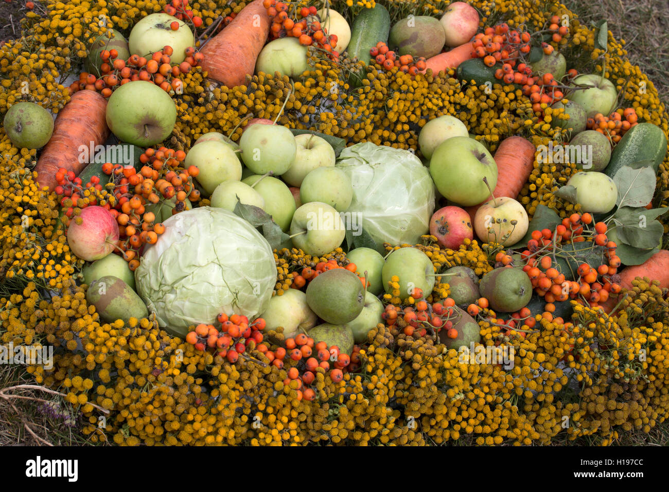 Fresh vegetables crop lying on the grass Stock Photo - Alamy