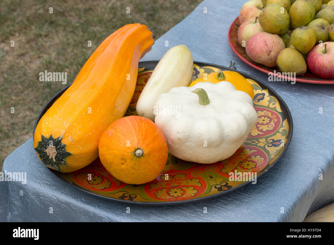 fresh vegetables harvest squash on the table Stock Photo - Alamy