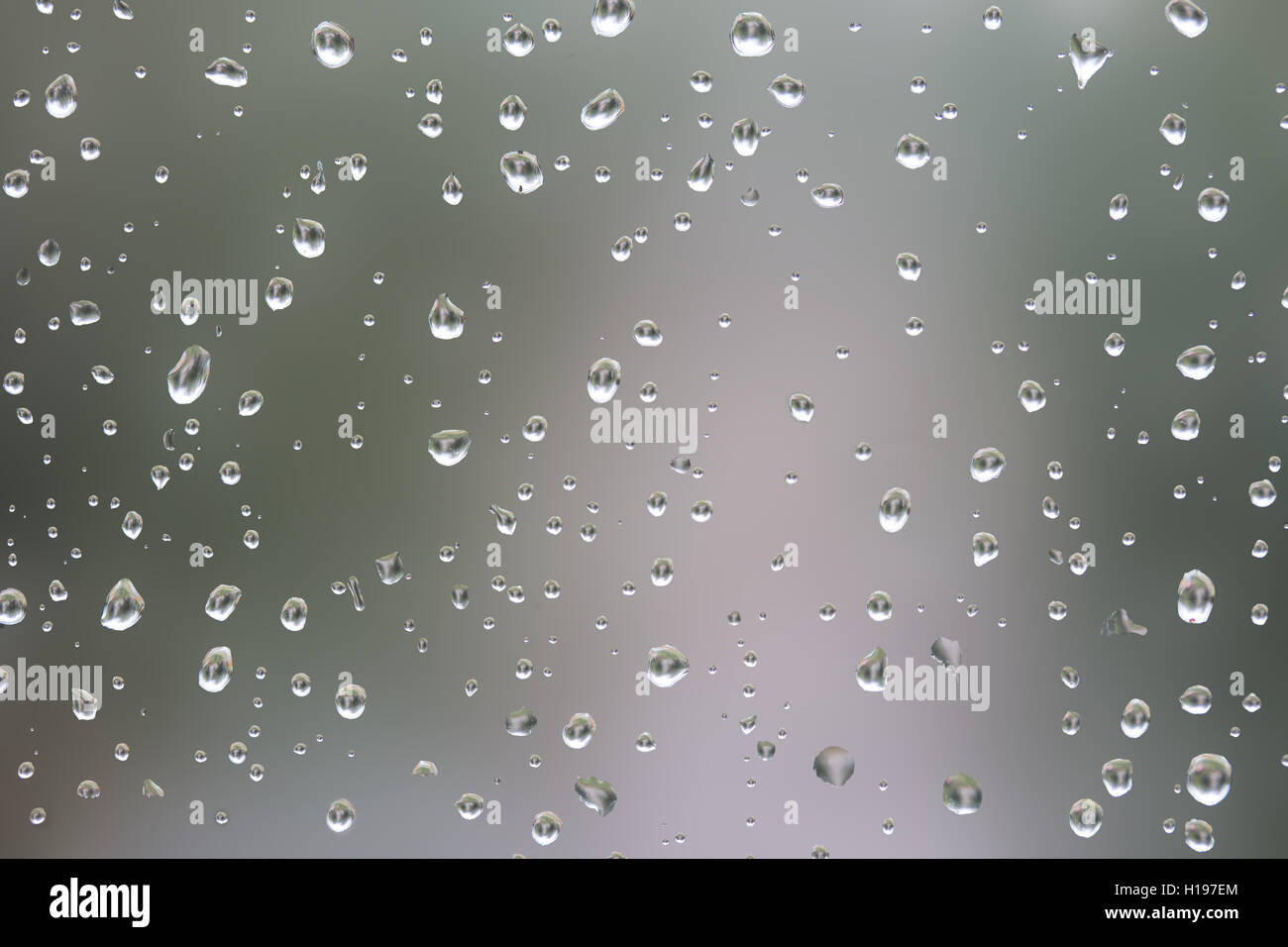big water drop on the glass a blurred background Stock Photo - Alamy