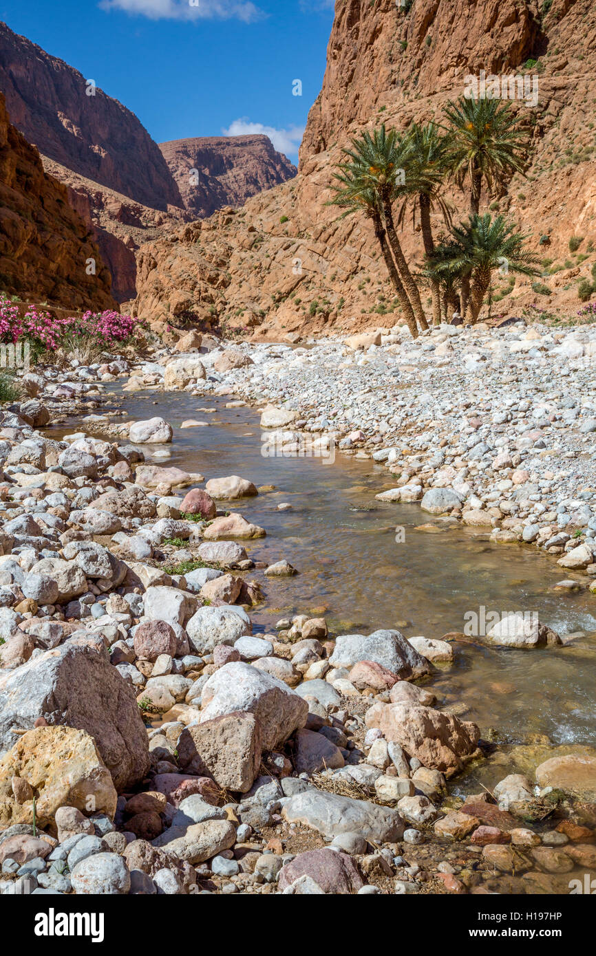 Todra gorge landscape hi-res stock photography and images - Alamy
