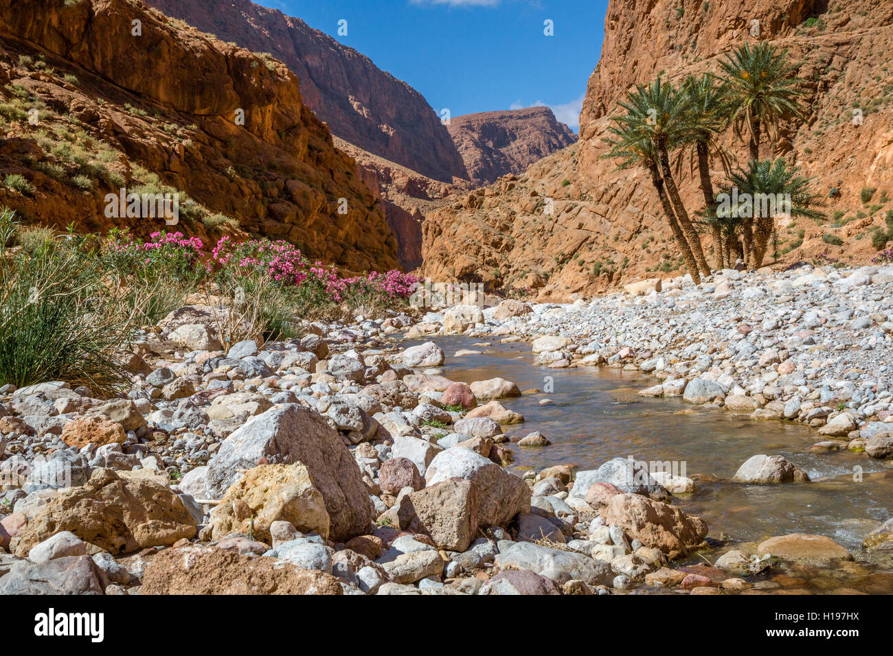 Todra Gorge, Morocco Stock Photo - Alamy