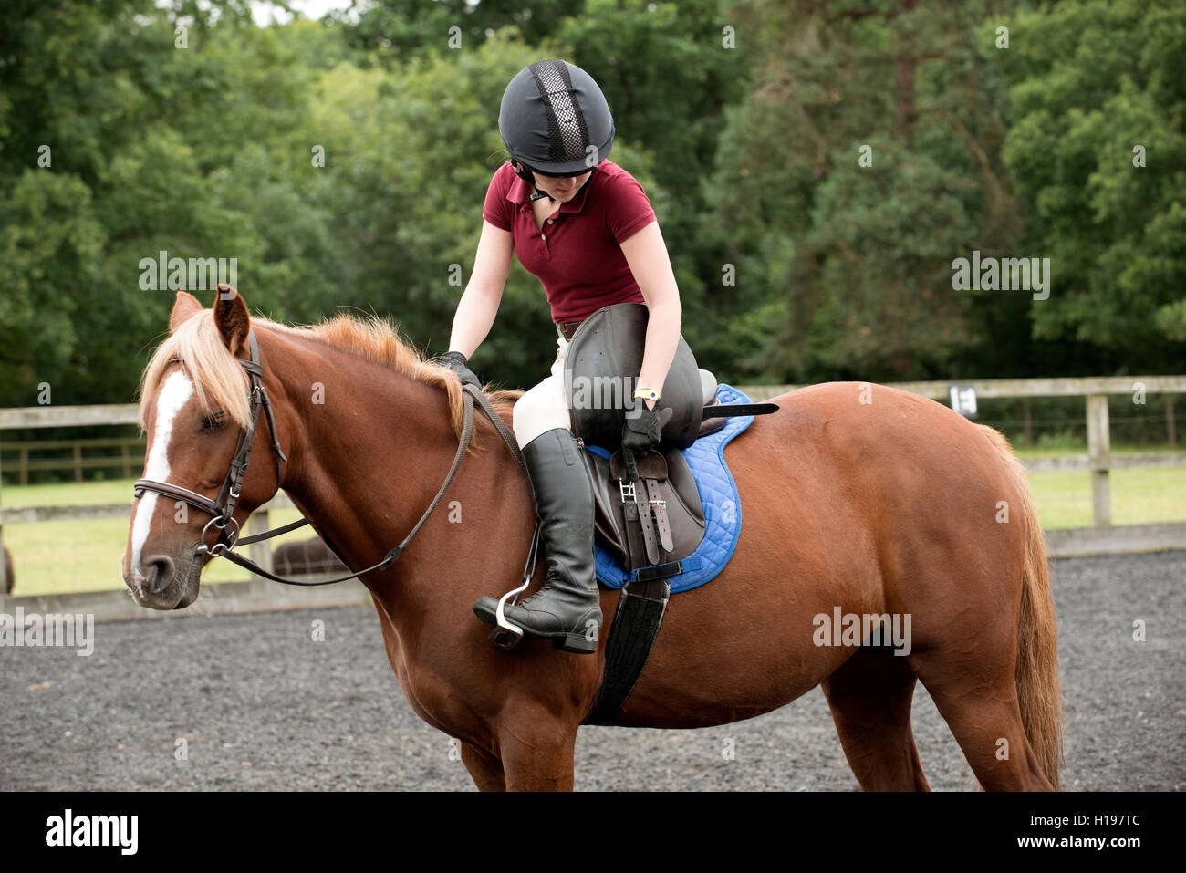 Riding girl pony woman hi-res stock photography and images - Alamy