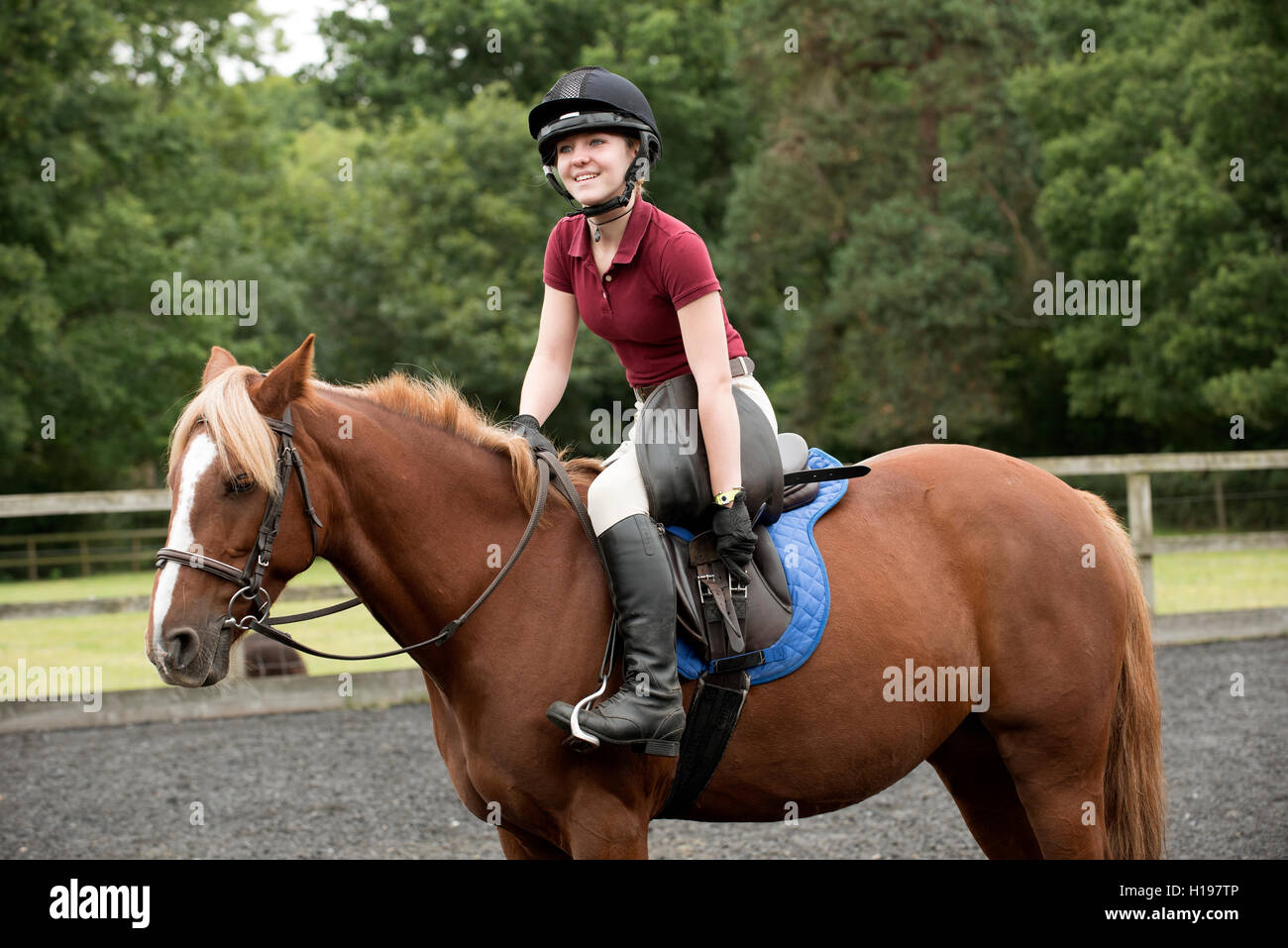 A rider tightens the girth on a saddle of a pony - A young girl riding ...