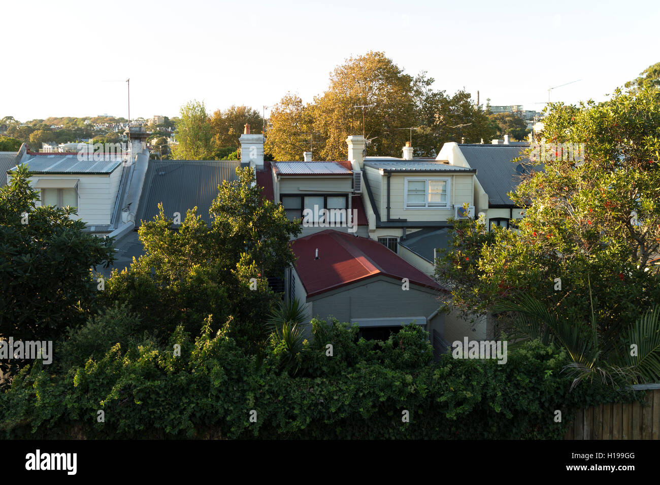 Early-morning rooftop view of workers cottages Darlinghurst Sydney ...