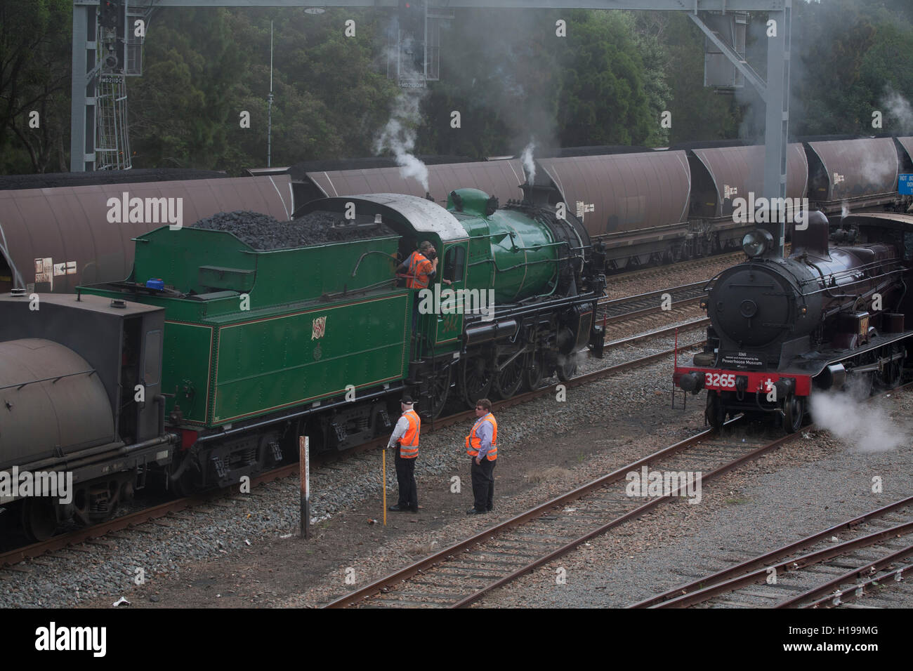 Heritage Railway Steam Locomotive 3642 at Maitland NSW Australia Stock ...