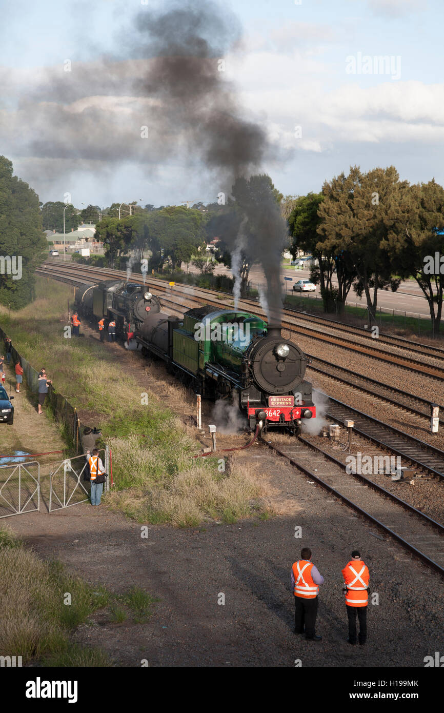 Heritage Railway Steam Locomotive 3642 at Maitland NSW Australia Stock ...