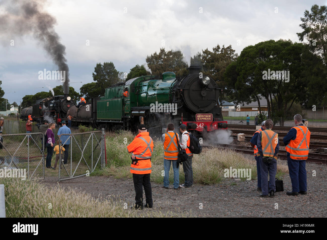 Heritage Railway Steam Locomotive 3642 at Maitland NSW Australia Stock ...