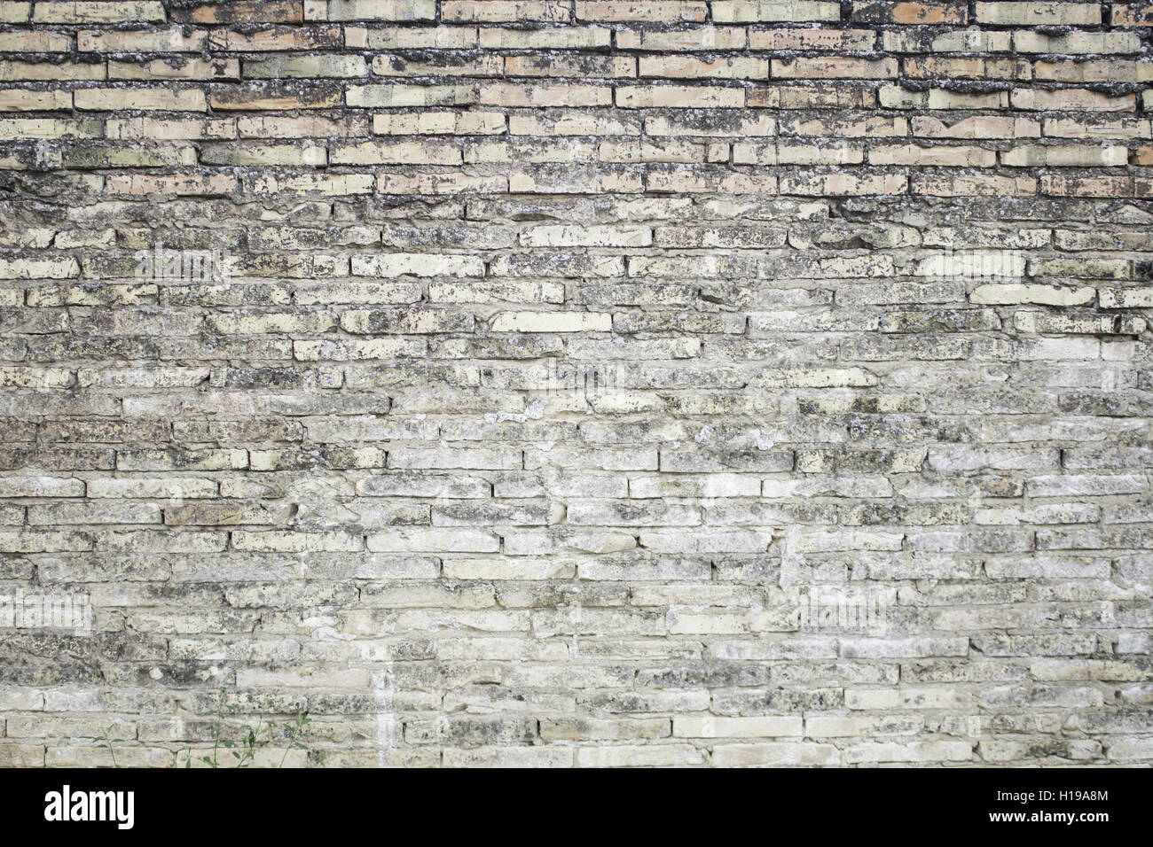 Old bricks deteriorated urban building, construction Stock Photo - Alamy