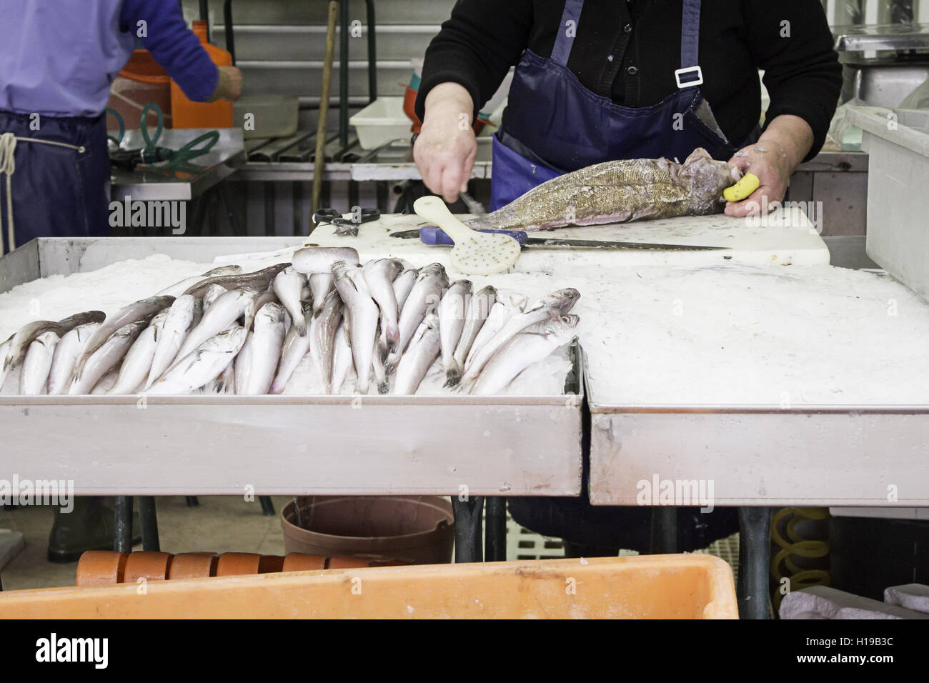 Fish in fish market counter hi-res stock photography and images - Alamy