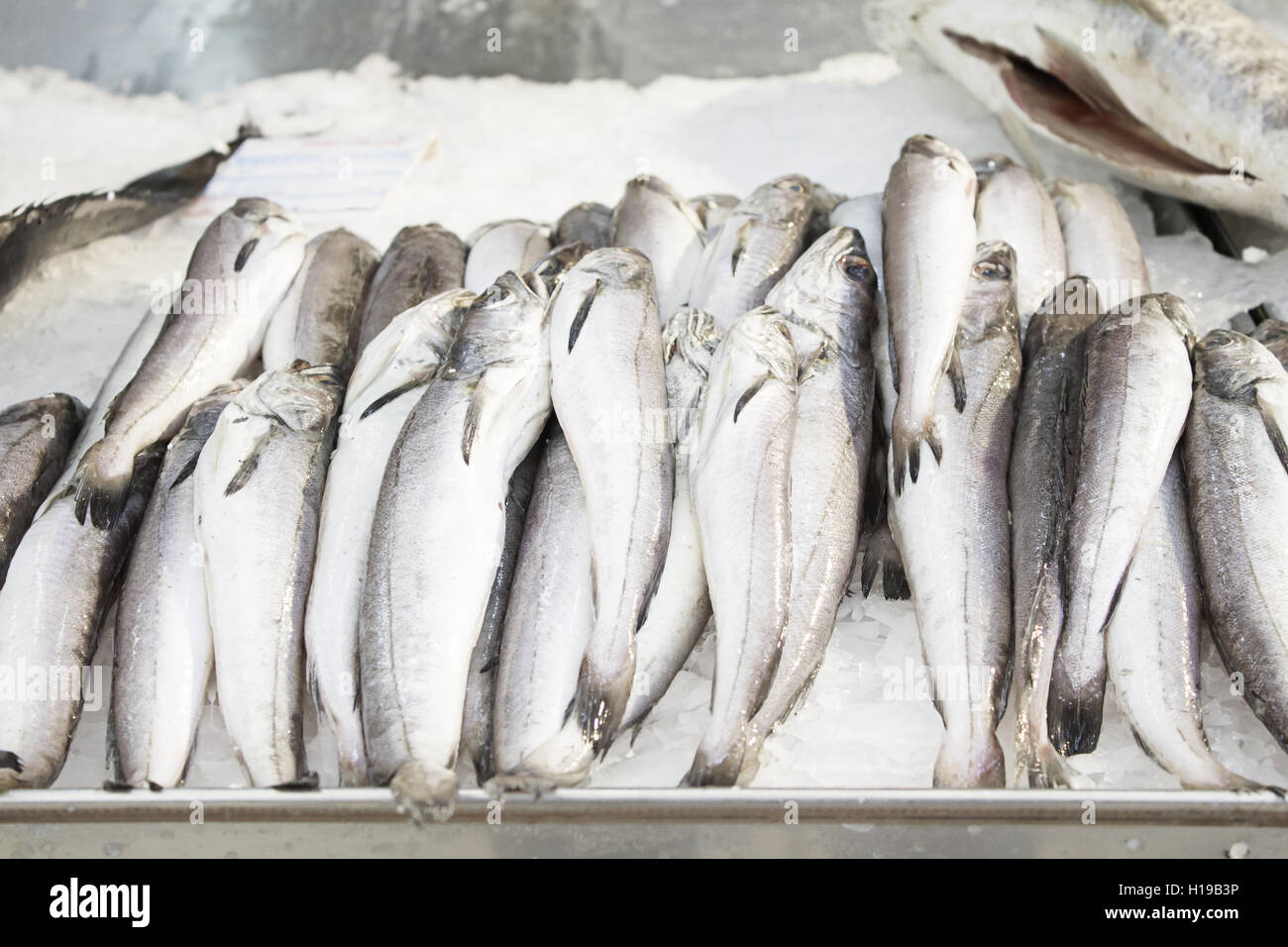 Fish in fish market counter with ice, food Stock Photo - Alamy
