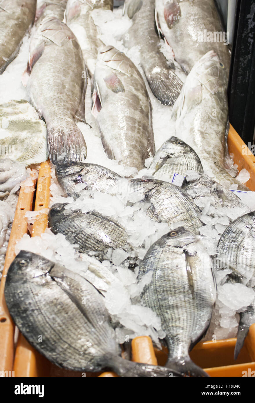 Fish in fish market counter with ice, food Stock Photo - Alamy