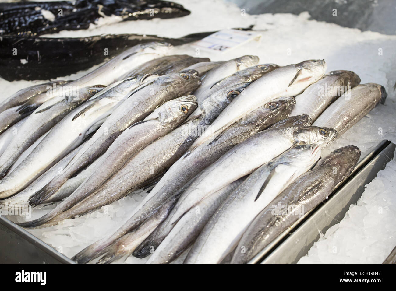 Fish in fish market counter with ice, food Stock Photo - Alamy