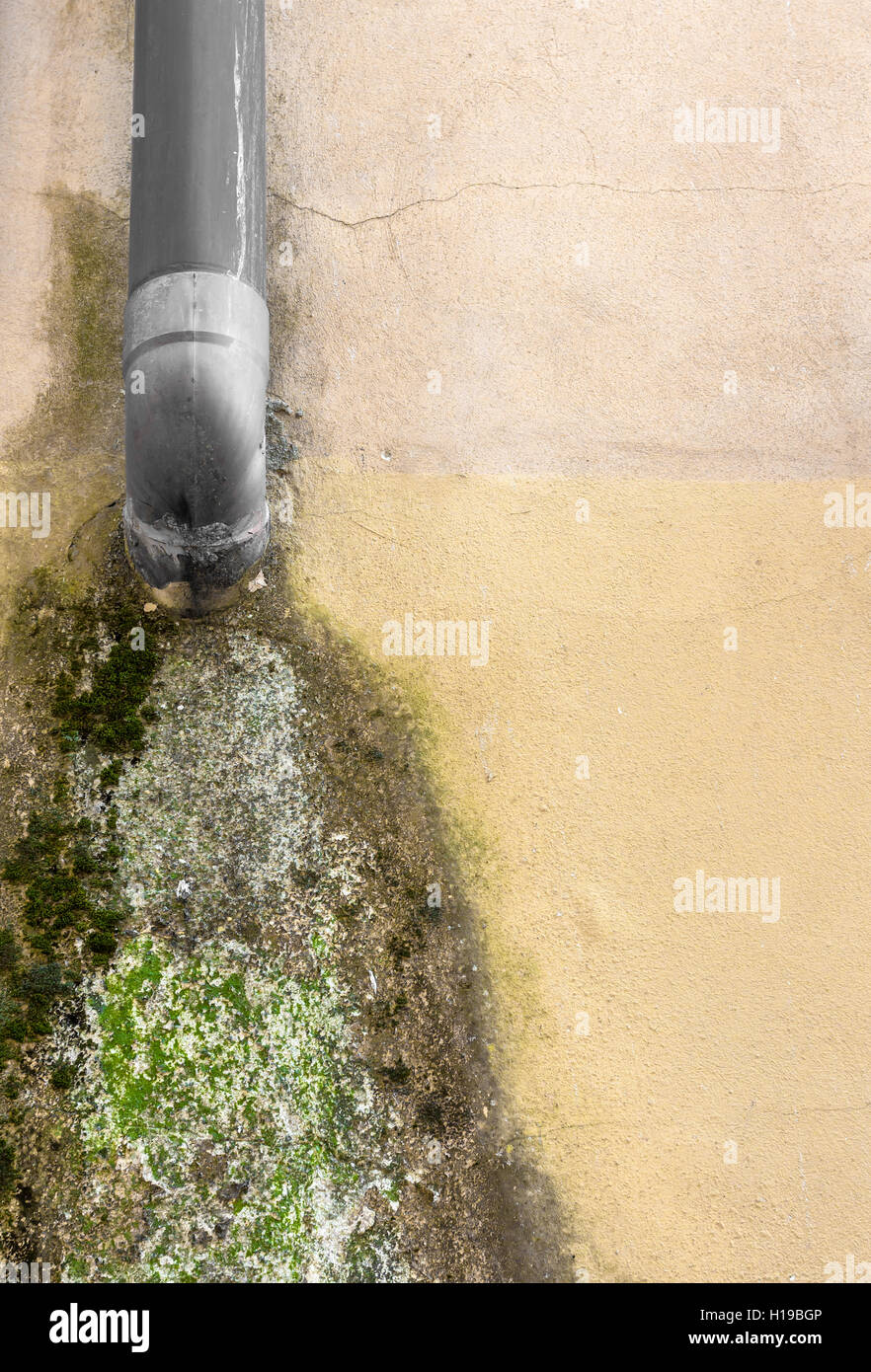 Texture of a mossy grunge drainage on a wall Stock Photo - Alamy