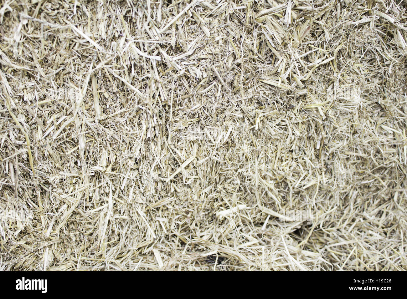 Pressed straw in livestock, agriculture and gathering Stock Photo - Alamy