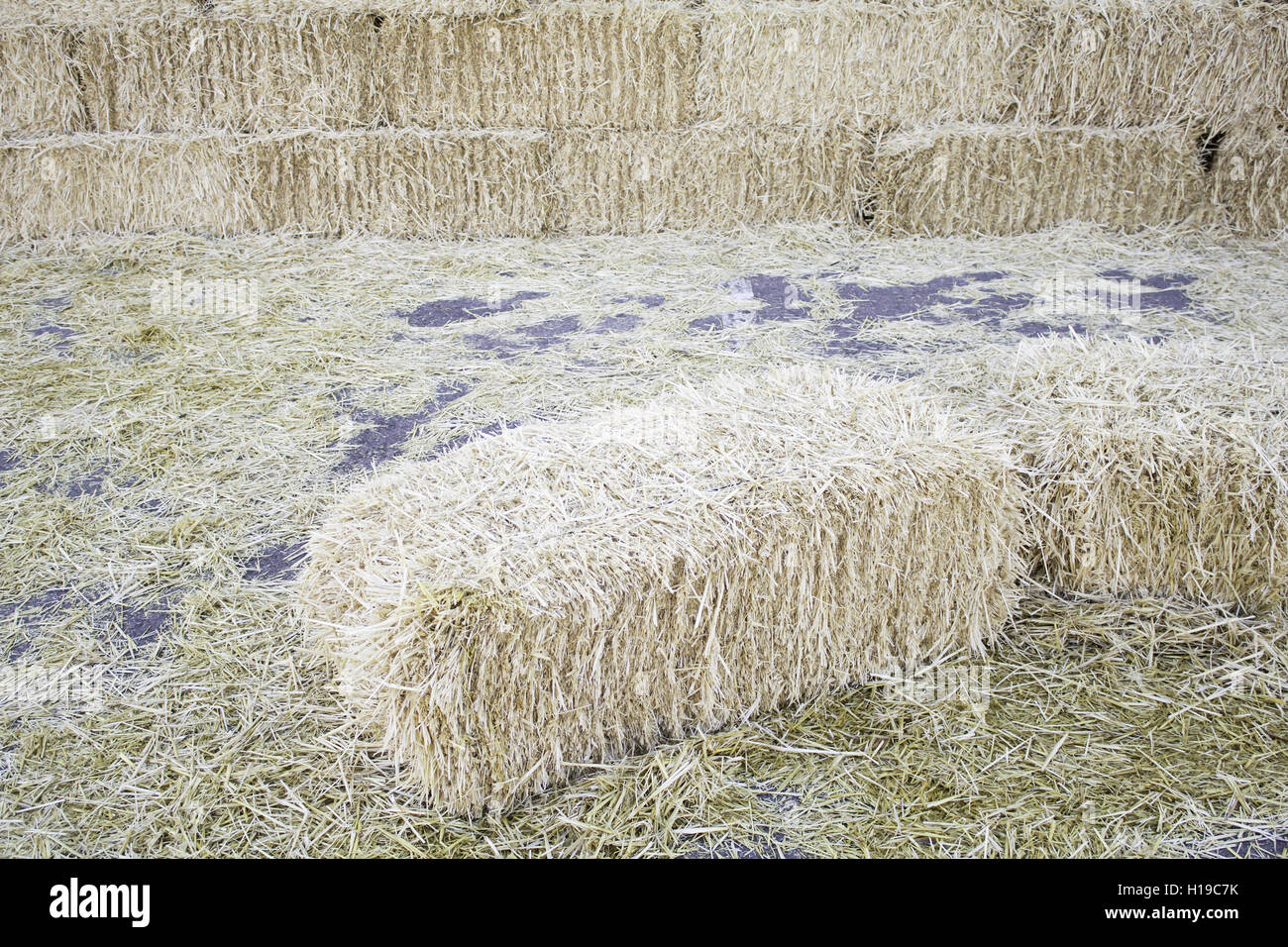 Farm field with hay in urban, rural scene Stock Photo - Alamy