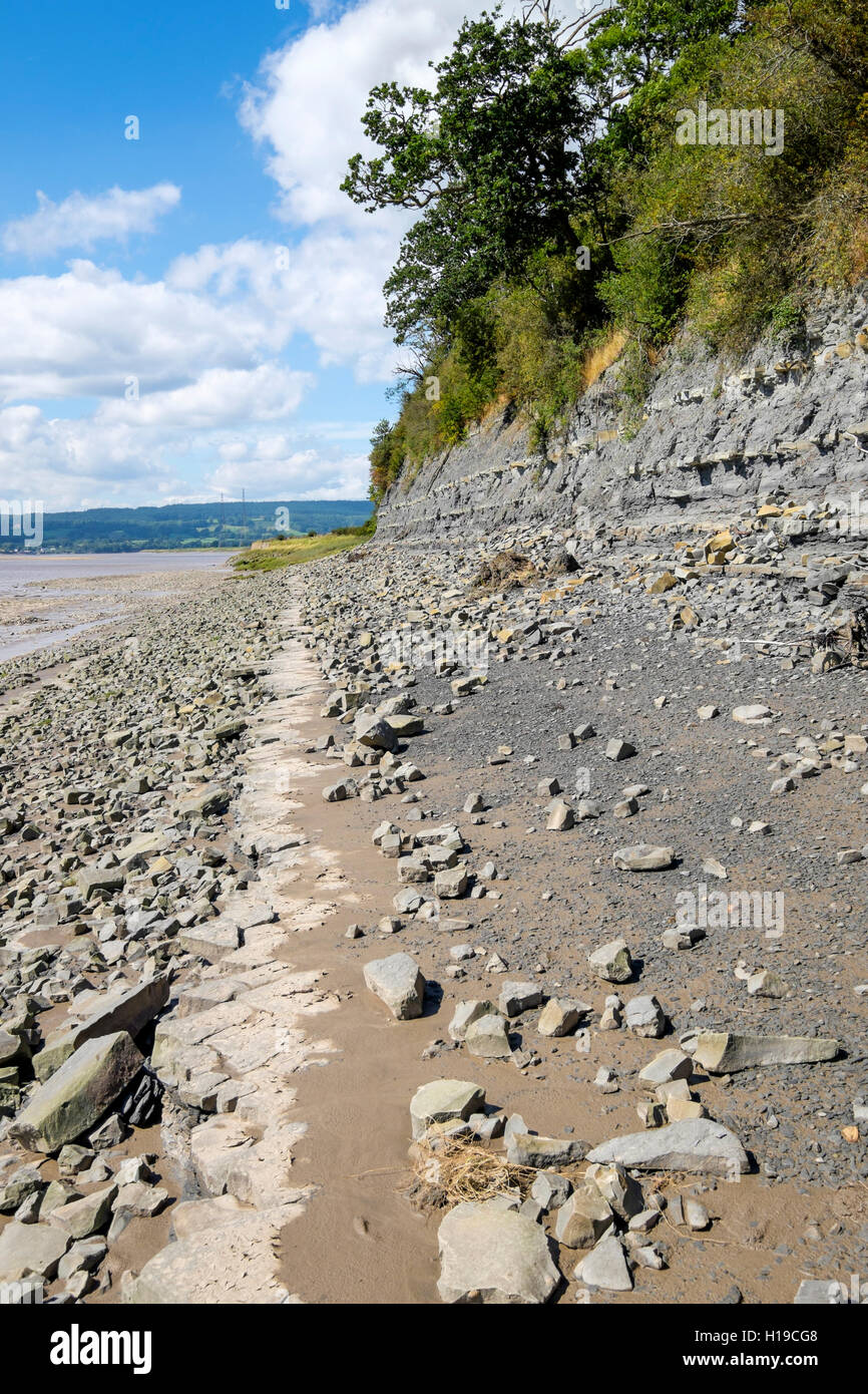 Mudstone cliff hi-res stock photography and images - Alamy