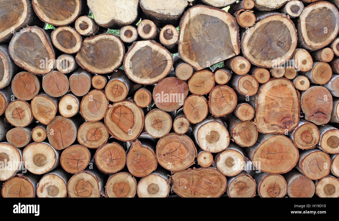 stump stack as background or texture Stock Photo - Alamy