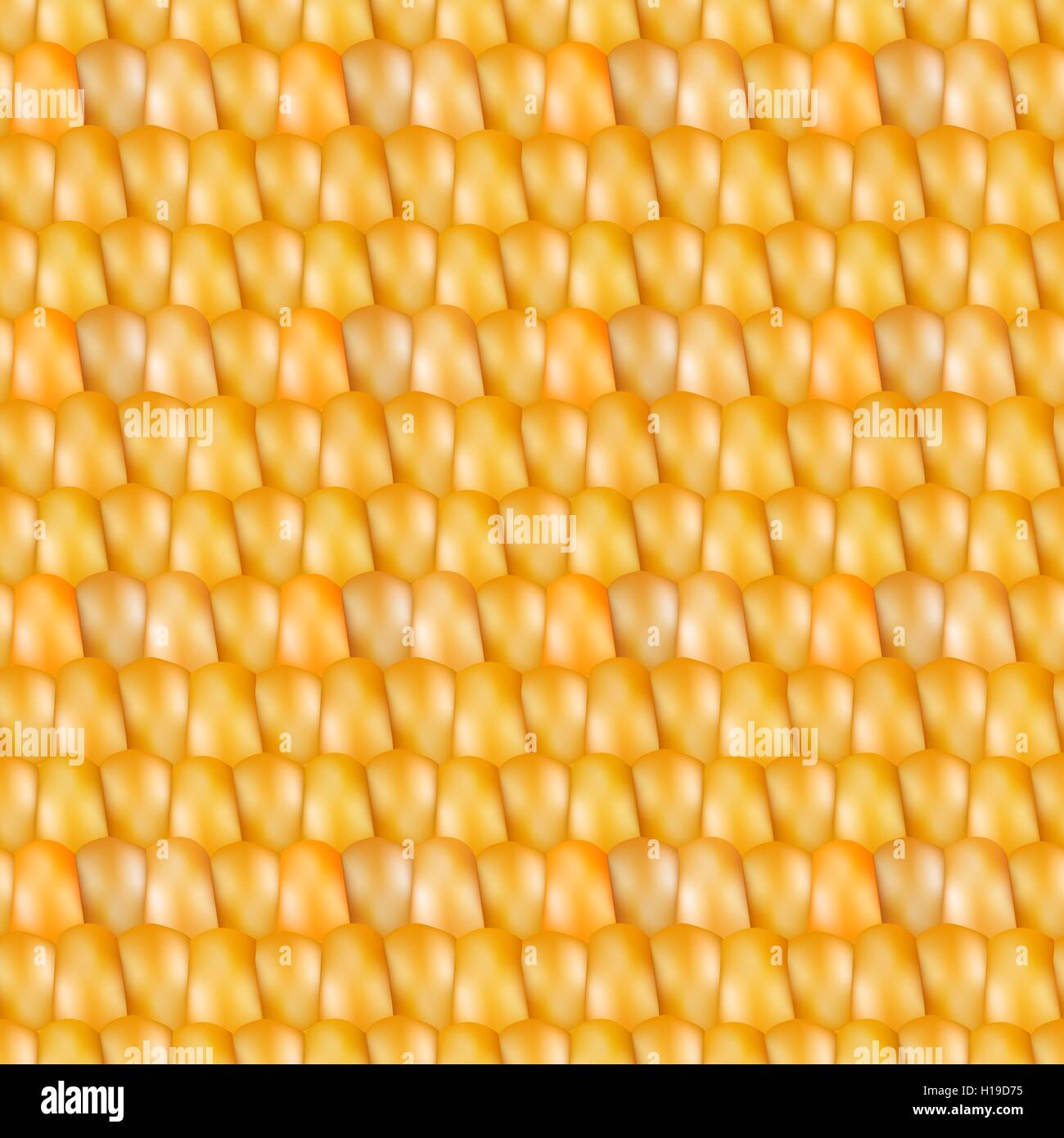Corn vector hi-res stock photography and images - Alamy
