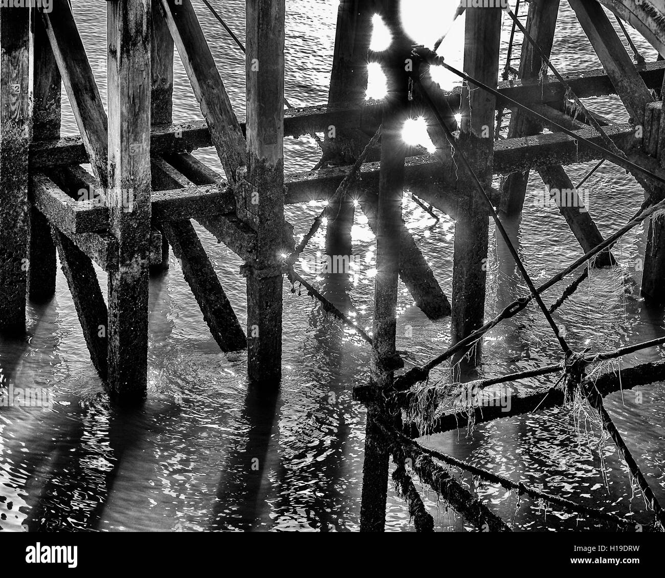 Pier 23 Black and White Stock Photos & Images - Alamy