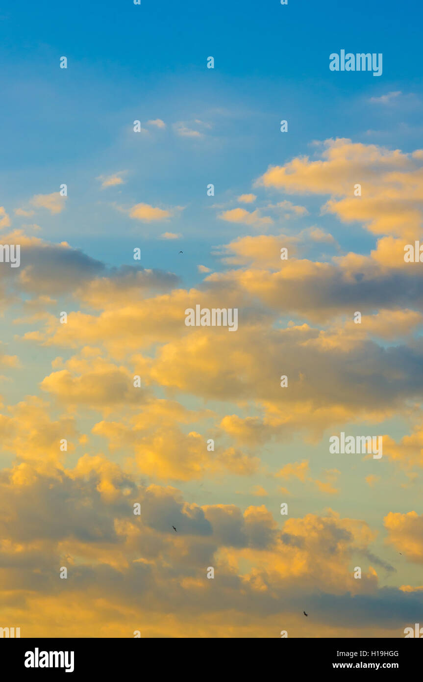 yellow clouds with sun rays in the blue summer sky Stock Photo - Alamy
